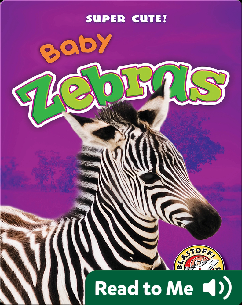 Super Cute! Baby Zebras Book by Megan Borget-Spaniol | Epic