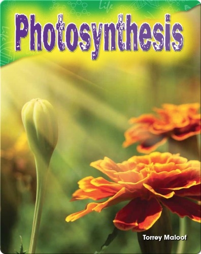 Photosynthesis Children's Book Collection | Discover Epic Children's ...