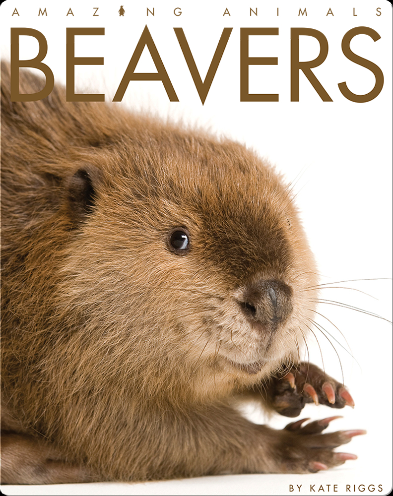 Beavers Book by Kate Riggs | Epic