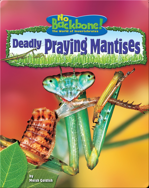 Deadly Praying Mantises Children's Book by Meish Goldish | Discover ...