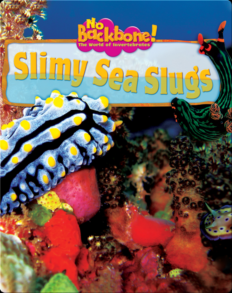 Slimy Sea Slugs Book by Natalie Lunis | Epic