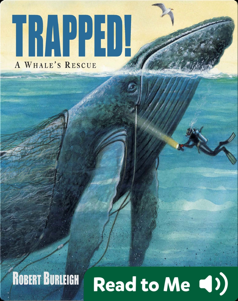 Trapped!: A Whale's Rescue Book by Robert Burleigh | Epic