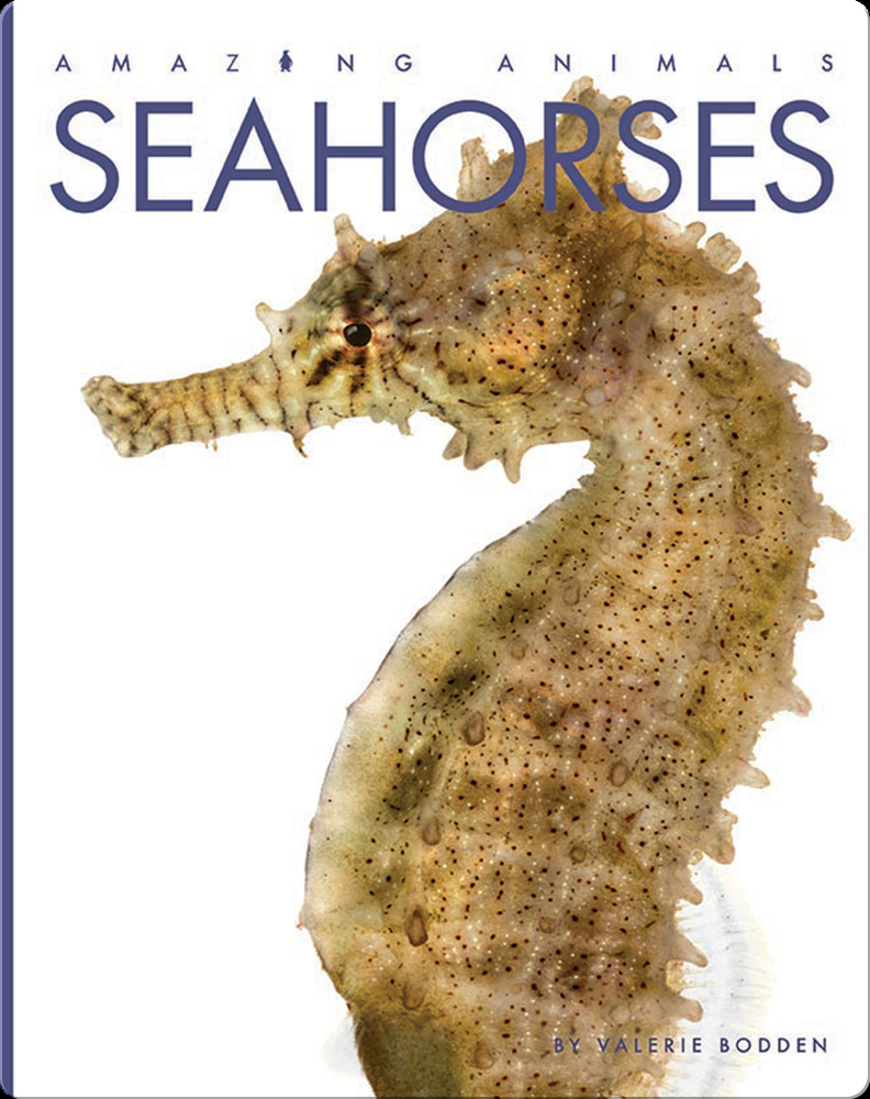 Amazing Animals: Seahorses Book by Valerie Bodden | Epic