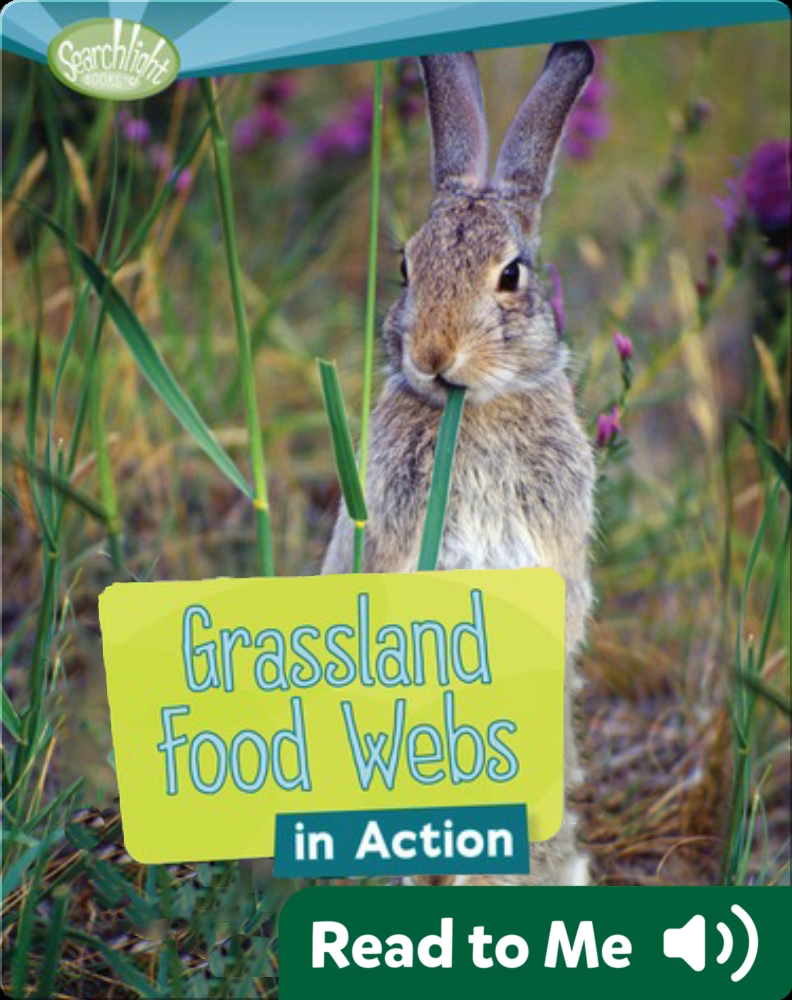 Grassland Food Webs in Action Book by Paul Fleisher | Epic
