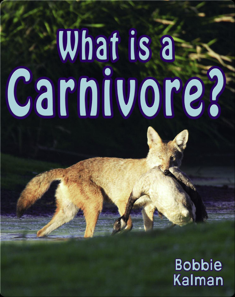 What is a Carnivore? Book by Bobbie Kalman | Epic