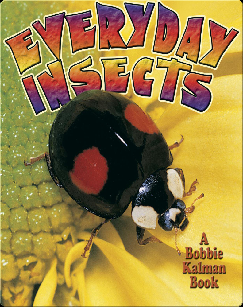 Everyday Insects Book by Bobbie Kalman, Rebecca Sjonger | Epic