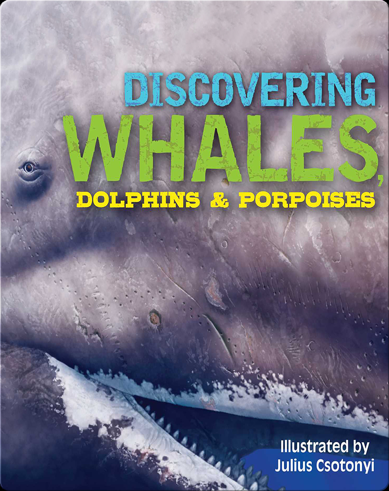 Discovering Whales, Dolphins, and Porpoises Book by Kelly Gauthier | Epic