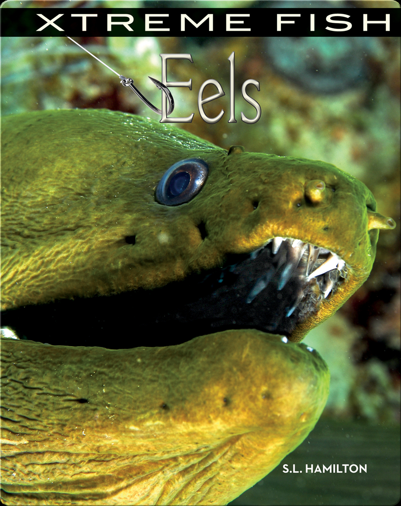 Xtreme Fish: Eels Book by S.L. Hamilton | Epic