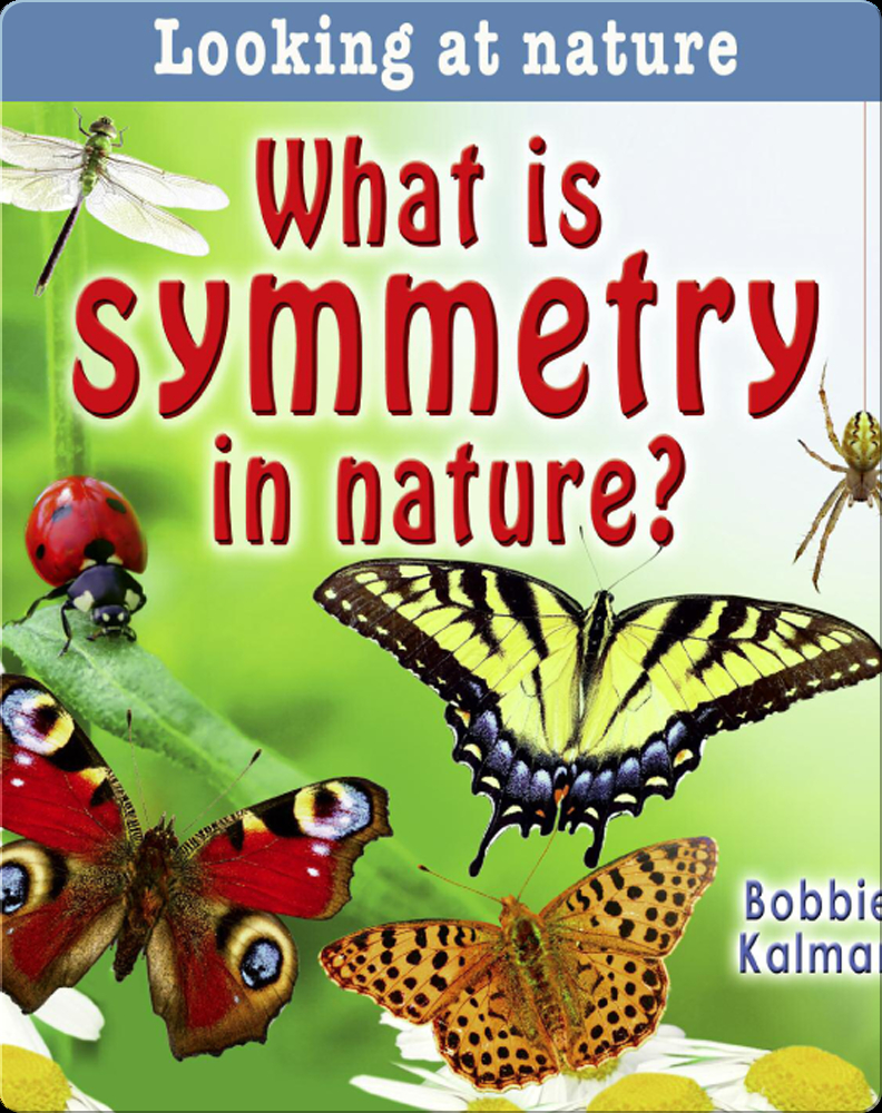 What Is Symmetry In Nature? Book by Bobbie Kalman | Epic