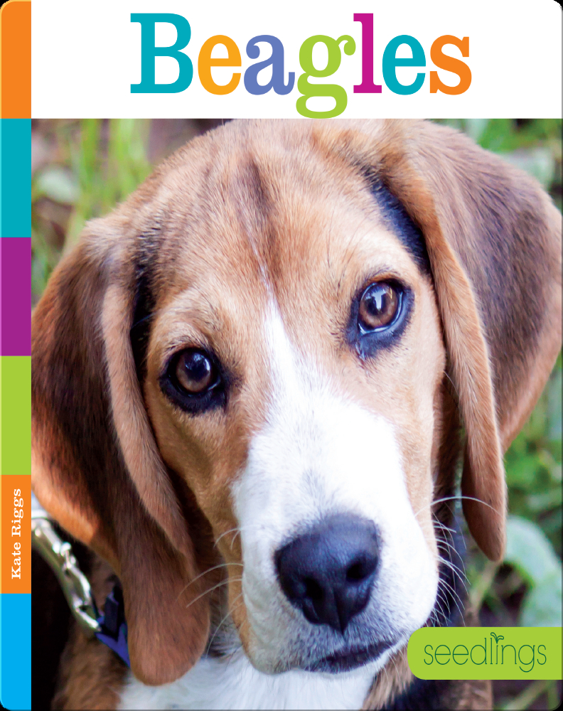 Beagles Book by Kate Riggs | Epic