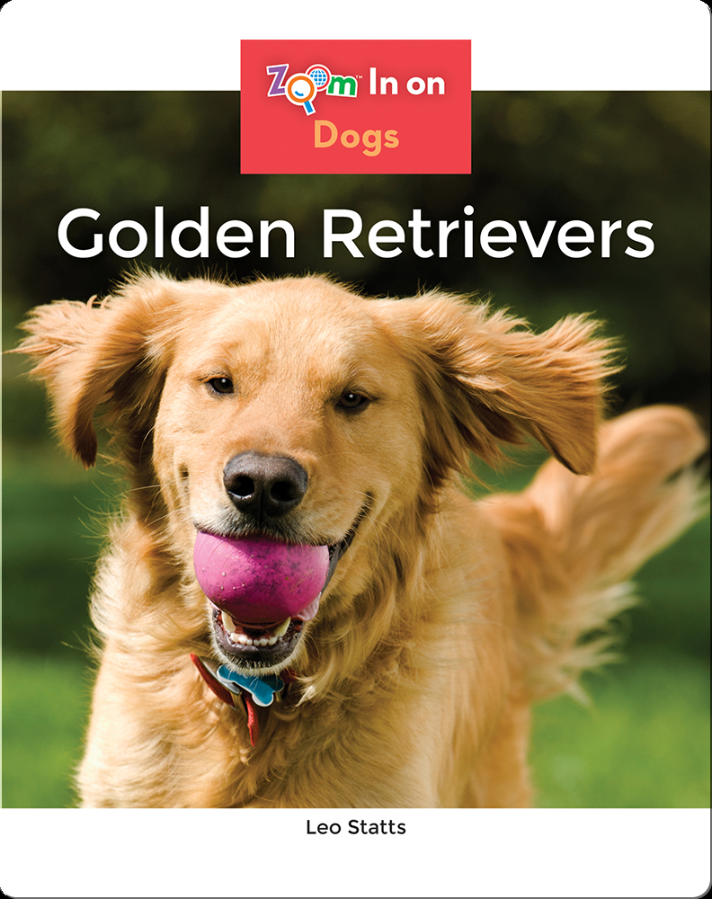 Golden Retrievers Book by Leo Statts | Epic