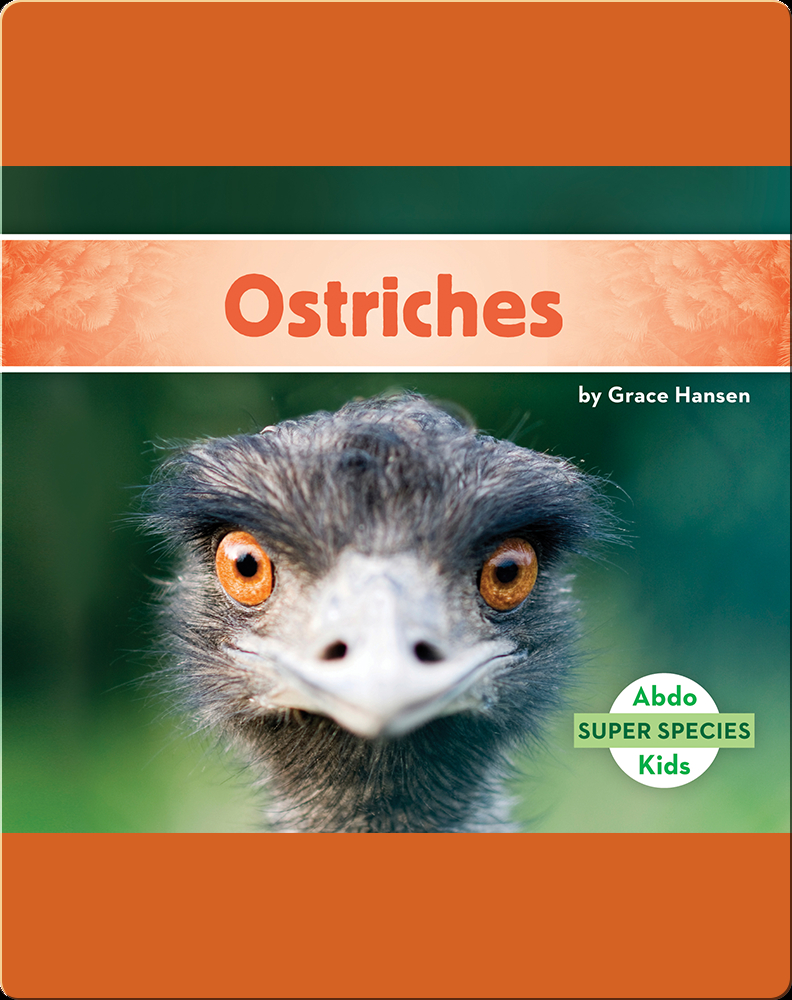 Ostriches Book by Grace Hansen | Epic