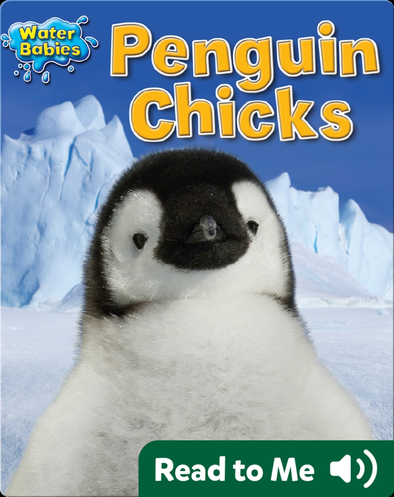 Penguin Chicks Book by Ruth Owen | Epic