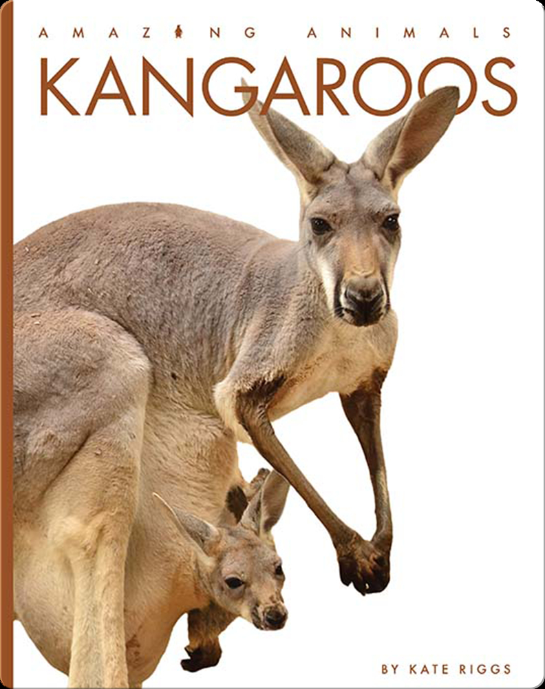 Amazing Animals: Kangaroos Book by Kate Riggs | Epic