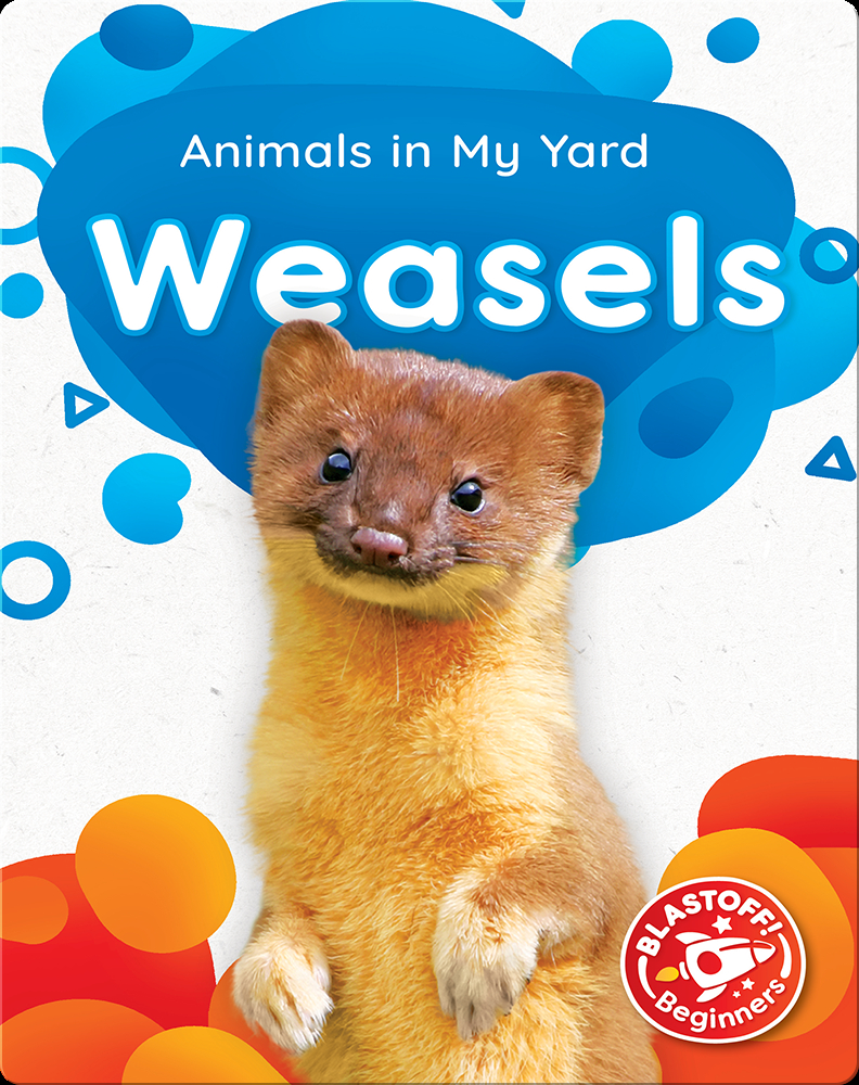 Animals in My Yard: Weasels Book by Amy McDonald | Epic