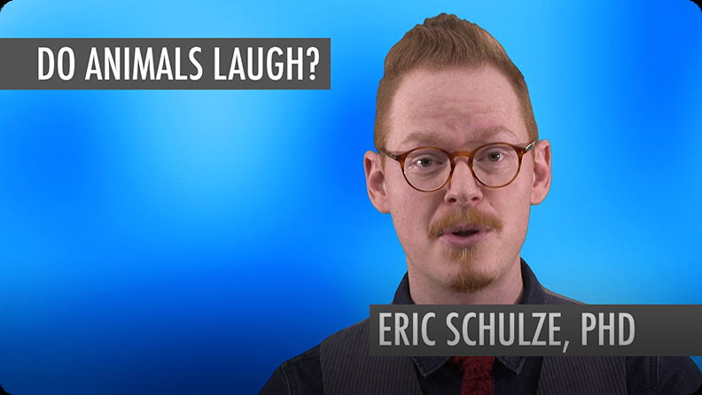 Do Animals Laugh? Video | Discover Fun and Educational Videos That Kids Love | Epic Children's ...