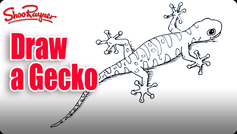 How to Draw a Gecko Video | Discover Fun and Educational Videos That ...