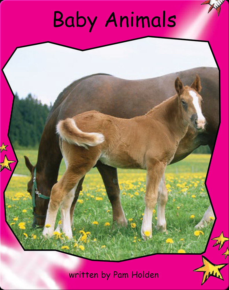 Baby Animals Book by Pam Holden | Epic