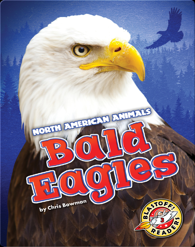 Bald Eagles Children's Book by Chris Bowman | Discover Children's Books ...