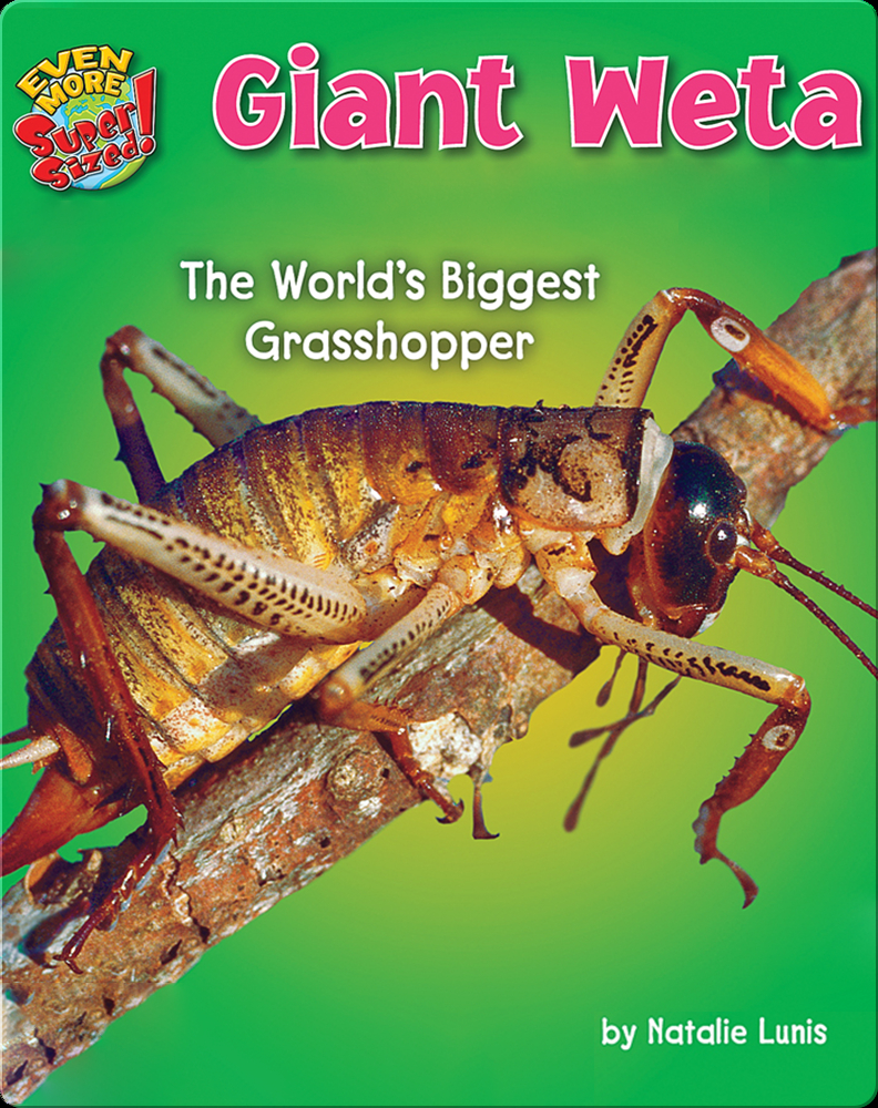 Giant Weta Book by Natalie Lunis | Epic