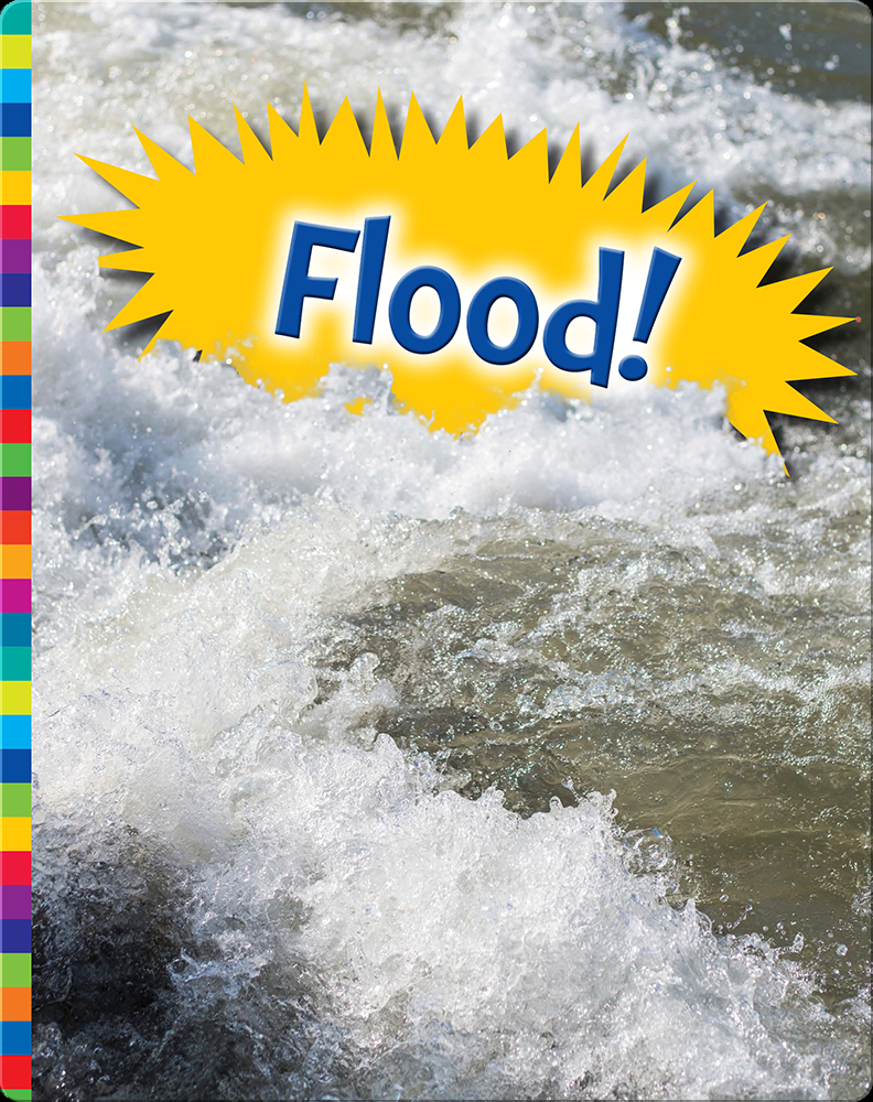 Flood! Book by Elizabeth Raum | Epic