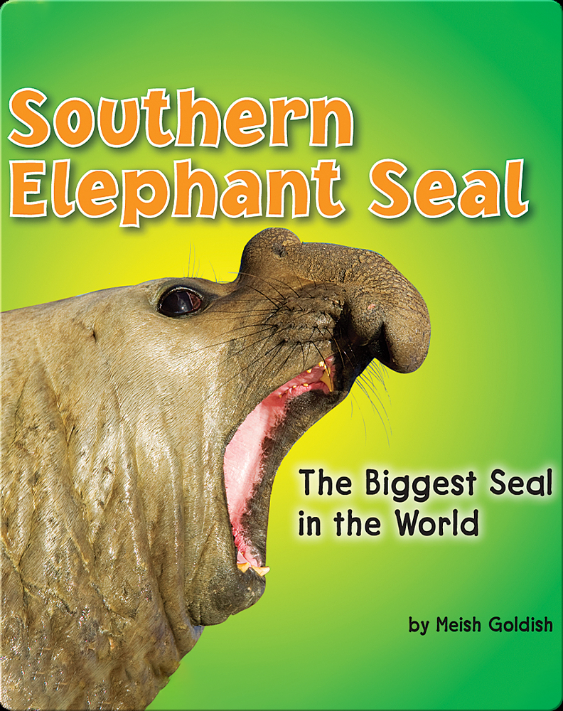 Southern Elephant Seal: The Biggest Seal in the World Book by Meish ...
