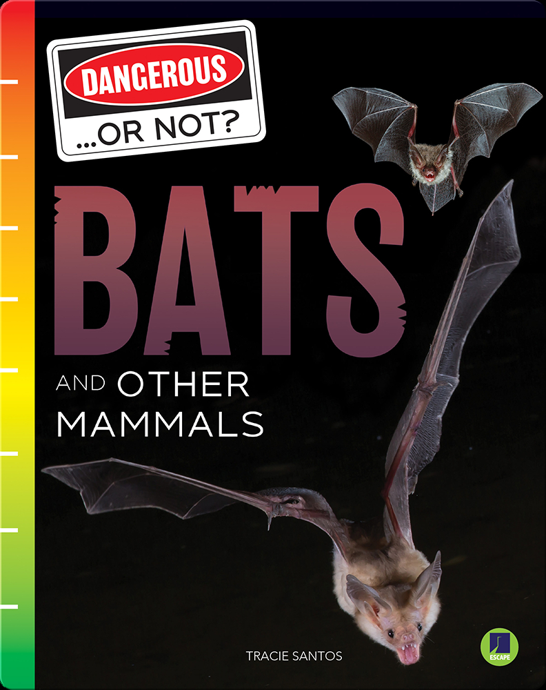 Dangerous...or Not?: Bats and Other Mammals Book by Tracie Santos | Epic