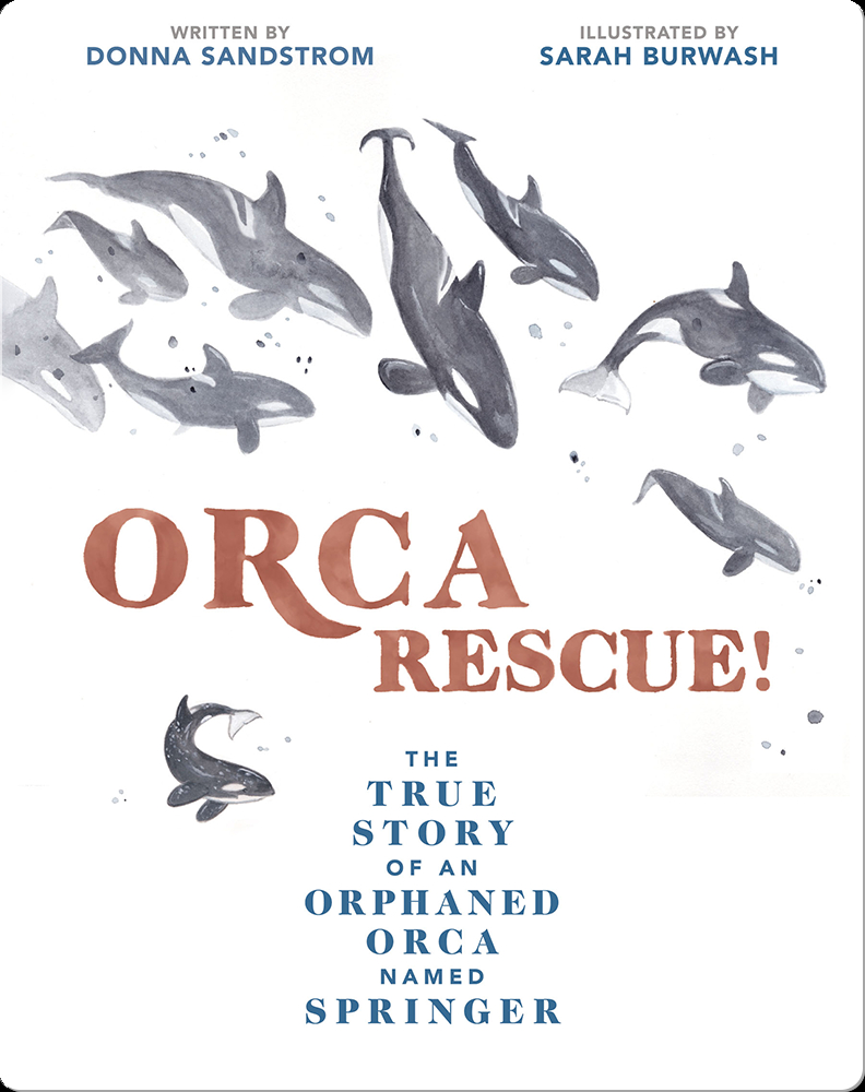 Orca Rescue!: The True Story of an Orphaned Orca Named Springer Book by ...