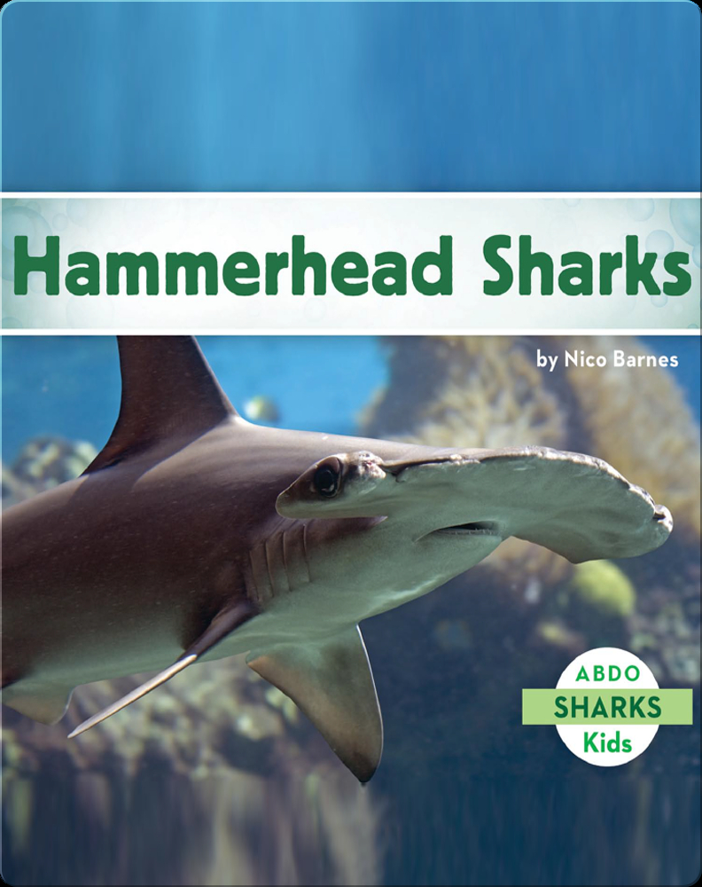 Hammerhead Sharks Book by Nico Barnes | Epic