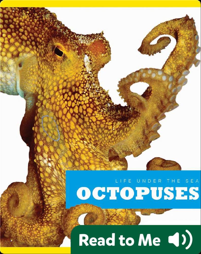 Octopuses Book by Cari Meister | Epic
