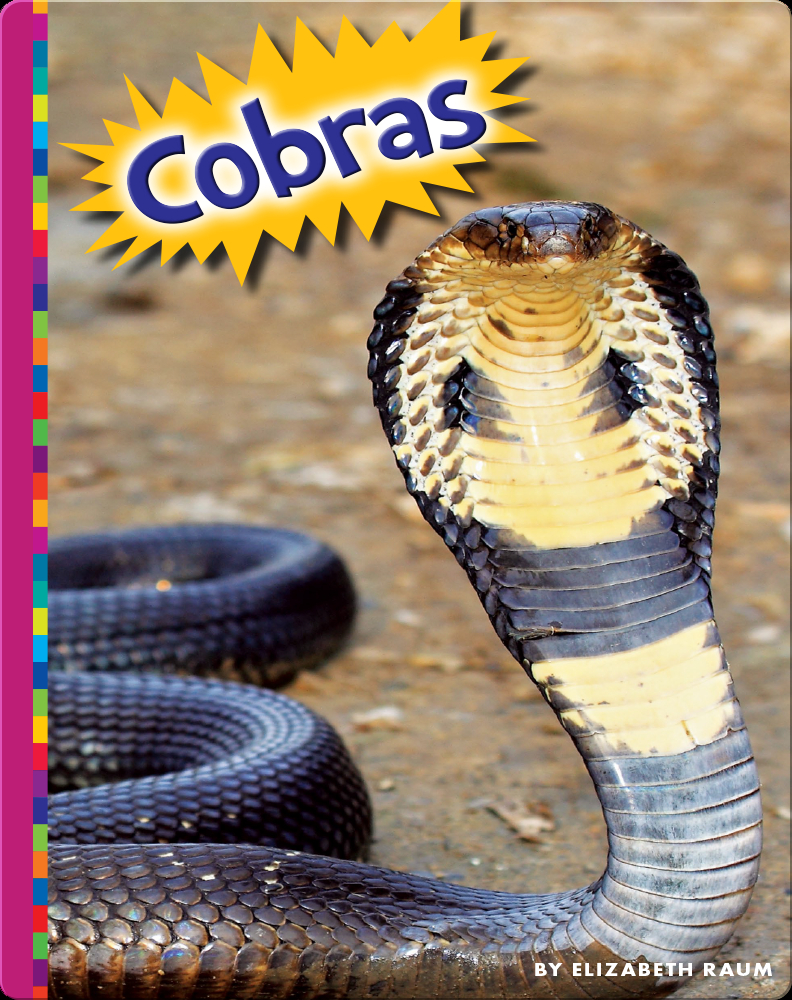 Cobras Book by Elizabeth Raum | Epic