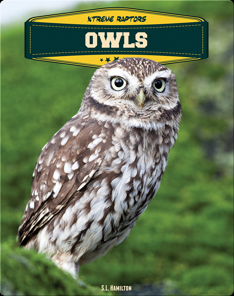 Owls Book by S.L. Hamilton | Epic
