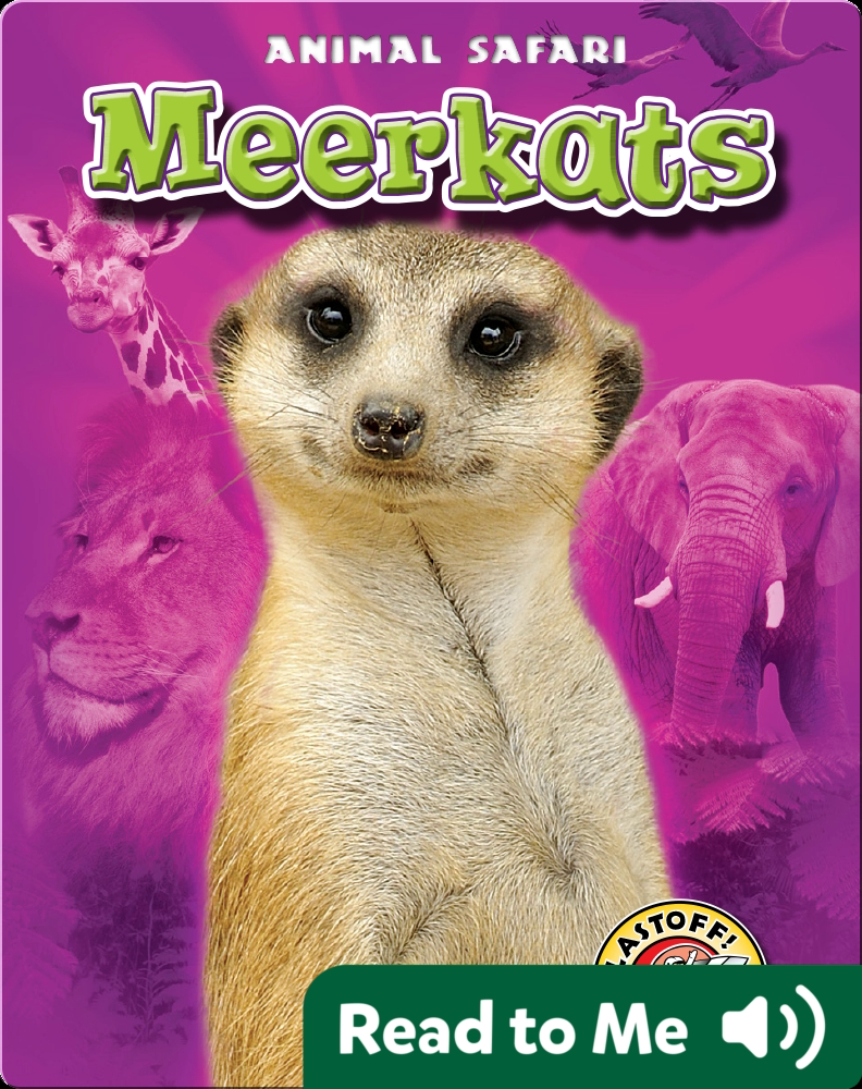 Meerkats: Animal Safari Book by Kari Schuetz | Epic