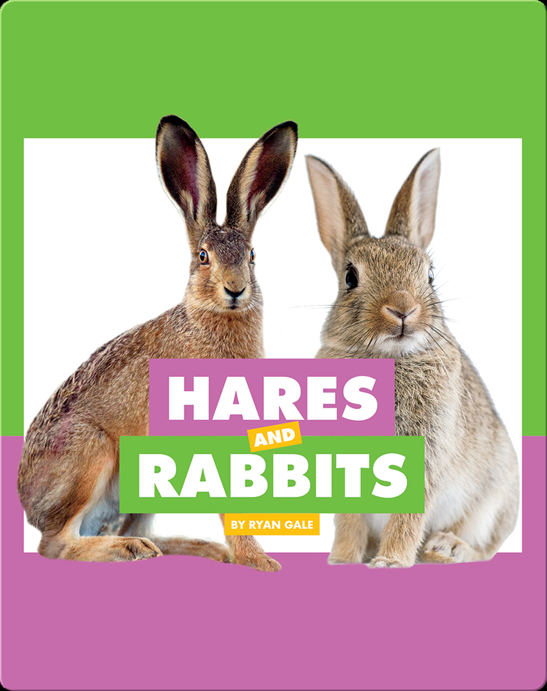 Comparing Animal Differences: Hares and Rabbits Book by Ryan Gale | Epic