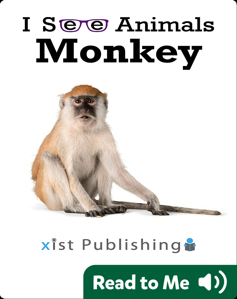 I See Animals: Monkey Book by August Hoeft | Epic