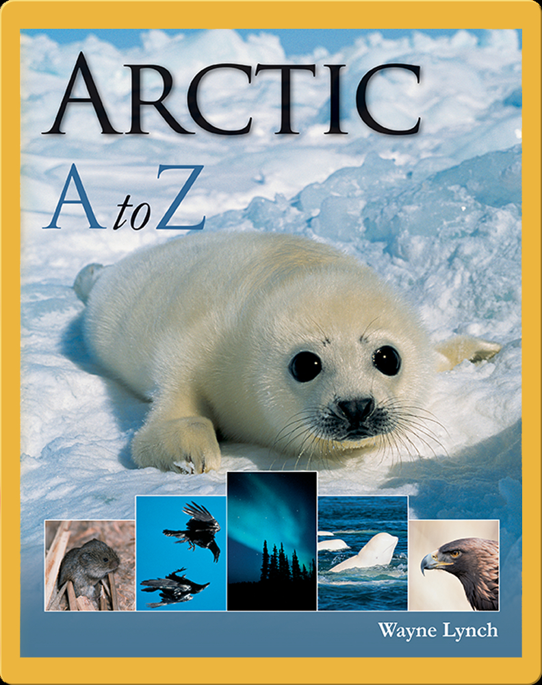 Arctic A to Z Children's Book by Wayne Lynch | Discover Children's ...
