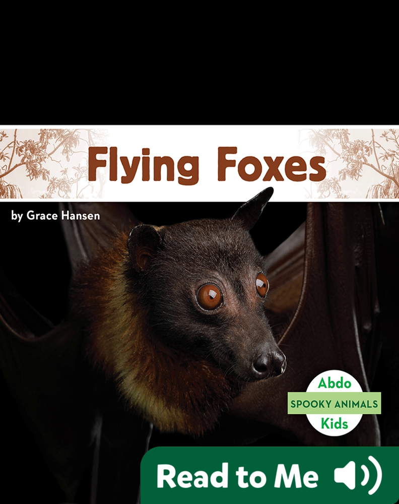 Spooky Animals: Flying Foxes Book by Grace Hansen | Epic