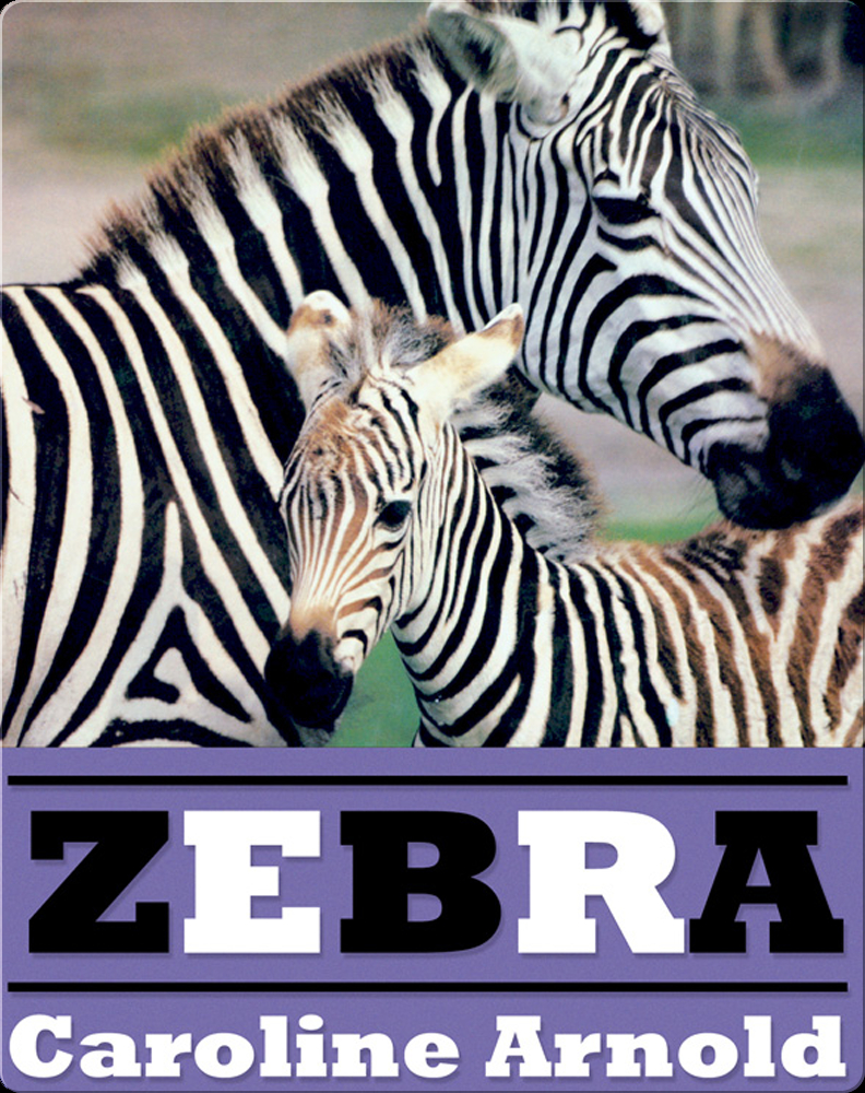 Zebra Book by Caroline Arnold | Epic