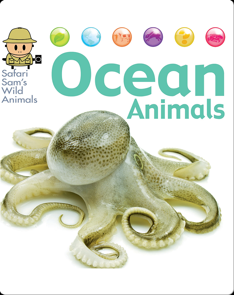 Ocean Animals Book by David West | Epic