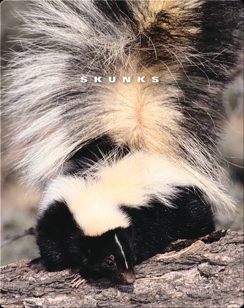 Skunks Book by Sophie Lockwood | Epic