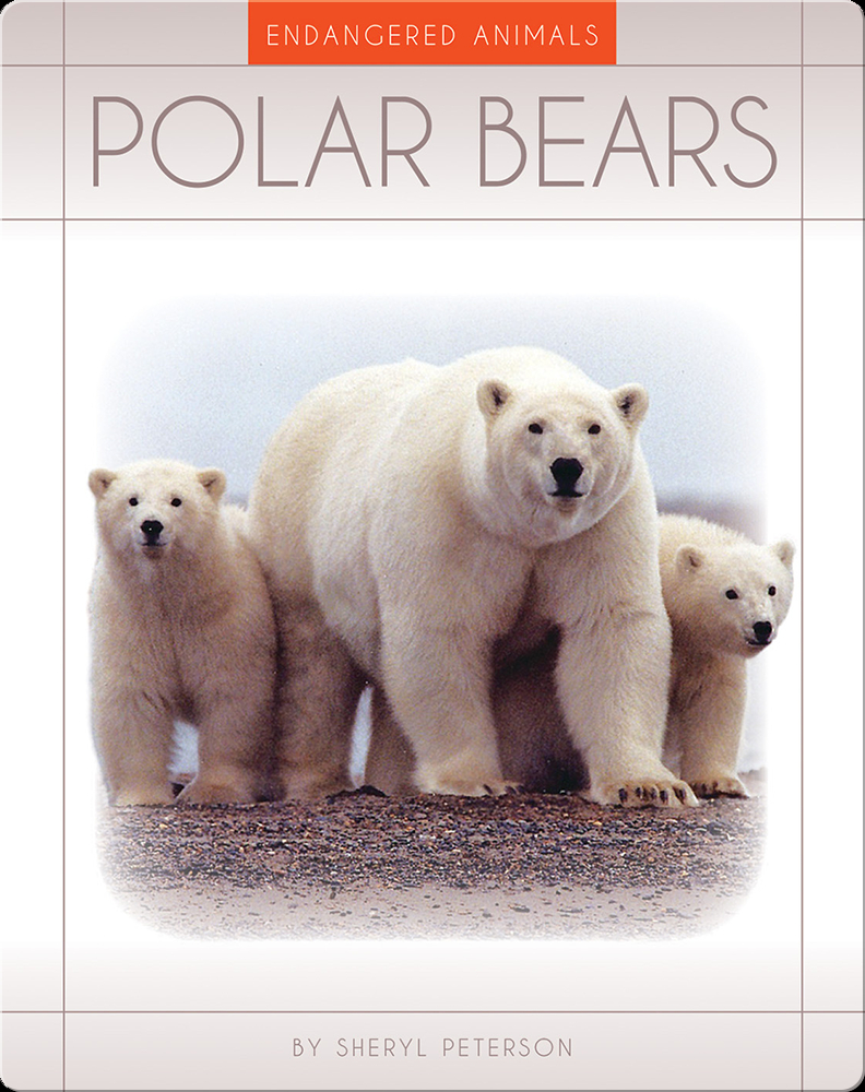 Polar Bears Children's Book by Sheryl Peterson | Discover Children's ...