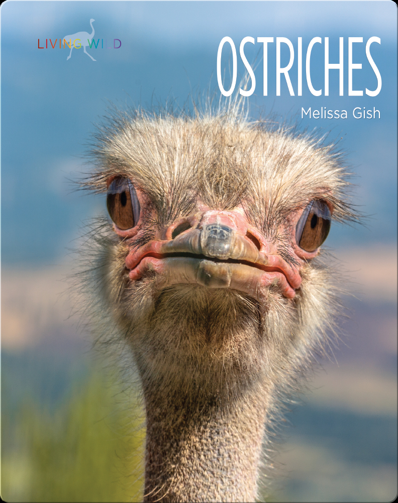 Ostriches Book by Melissa Gish | Epic