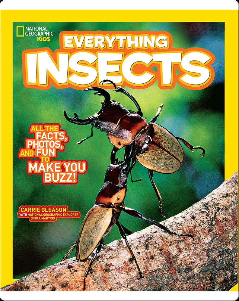 National Geographic Kids Everything Insects Book by Carrie Gleason | Epic