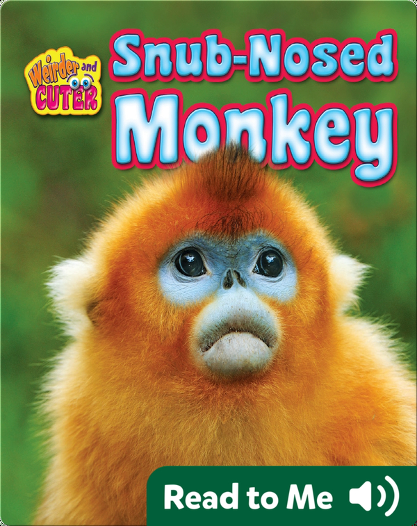 Snub-Nosed Monkey Children's Book by E. Merwin | Discover Children's ...