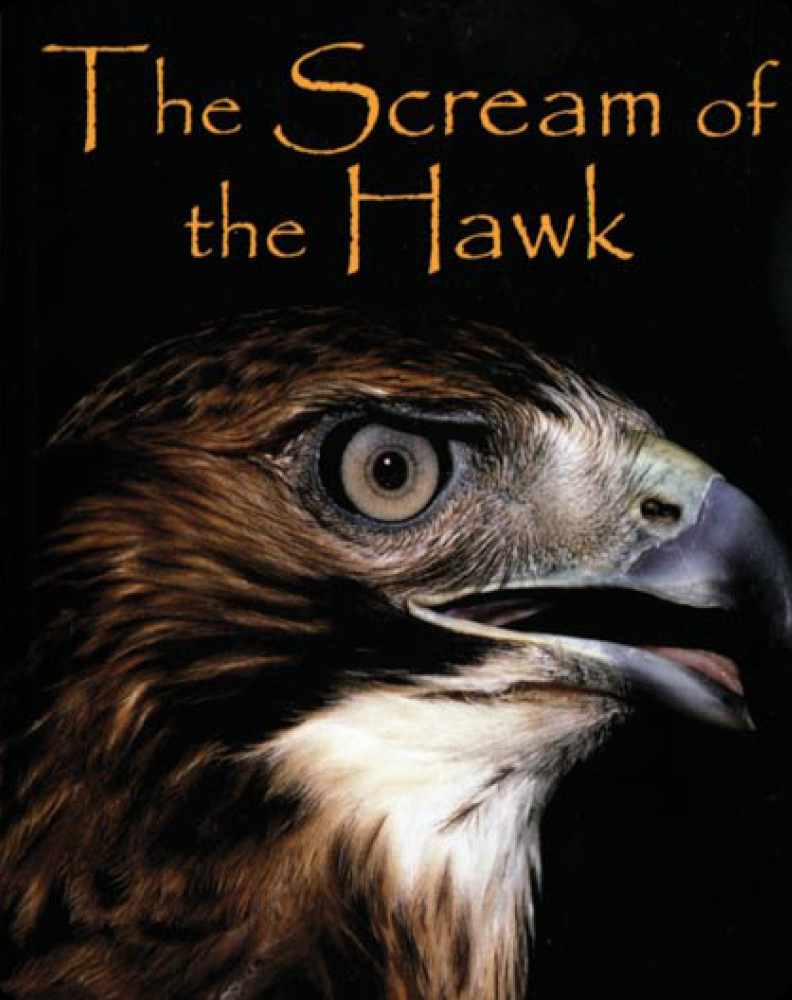The Scream of the Hawk Book by Nancy Belgue | Epic