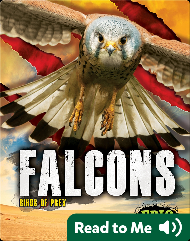 Falcons Book by Nathan Sommer | Epic