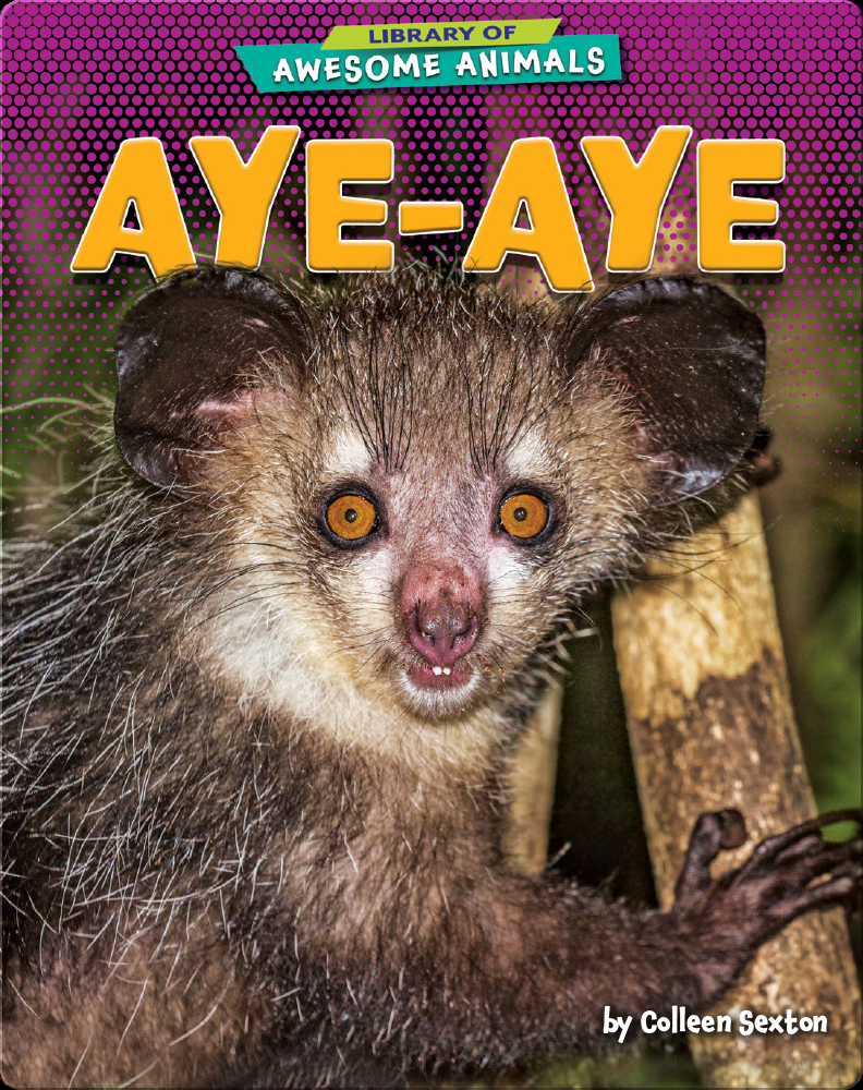 Awesome Animals: Aye-Aye Book by Colleen Sexton | Epic