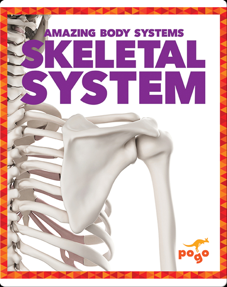 Amazing Body Systems: Skeletal System Book by Karen Latchana Kenney | Epic