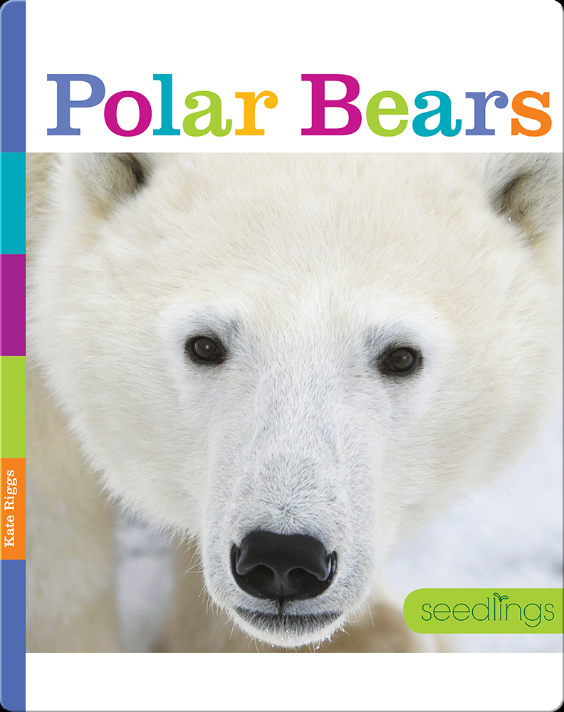 Polar Bears Book by Kate Riggs | Epic