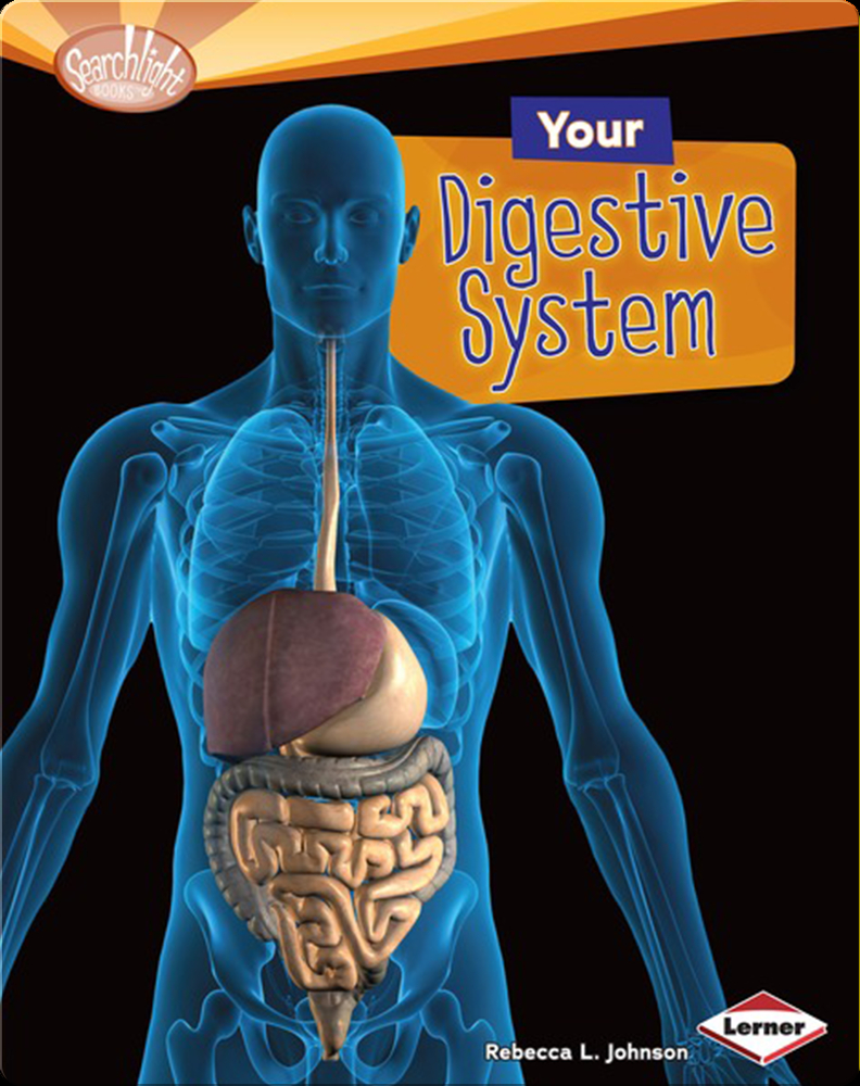 Your Digestive System Children's Book by Rebecca L. Johnson | Discover ...